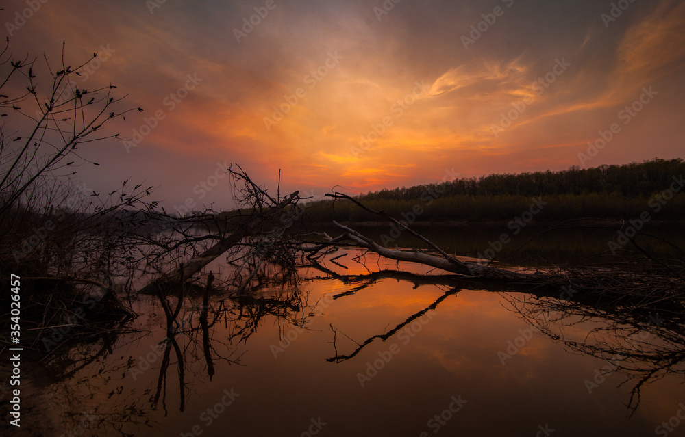 Foto de Red sunset in the smoke after a forest fire. Withered trees in ...