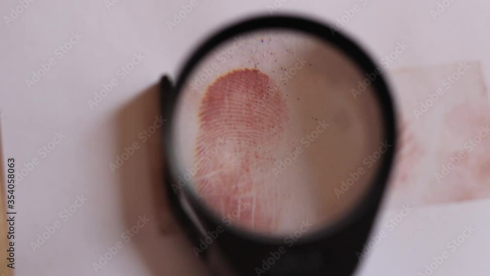 Close-up fingerprint through the lens. Papillary lines, patterns of the ...