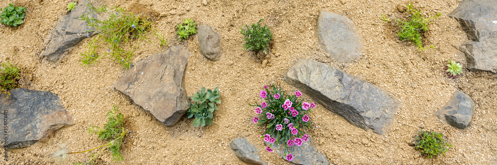 Newly planted rockery garden. Rock garden top view banner. Stock Photo ...