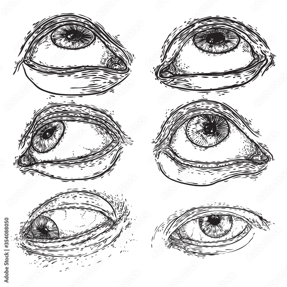 Set of human eyes for design of all seeing eye symbols variations ...