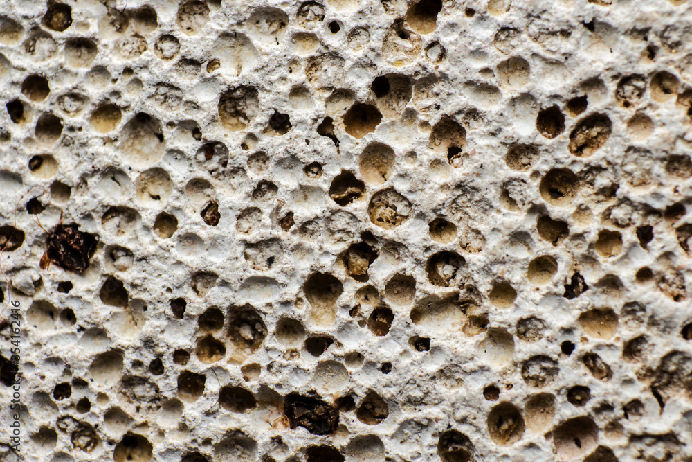 macro photography of porous stone texture, close-up sponge for a ...