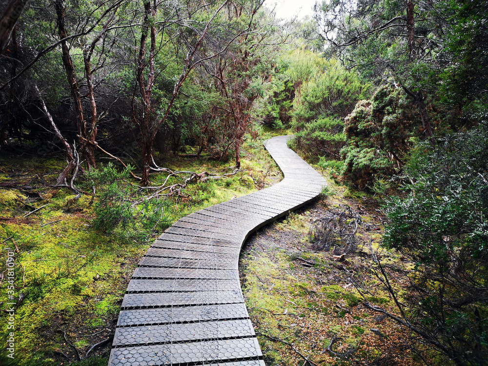 The Overland Track is an Australian bushwalking track traversing Cradle ...