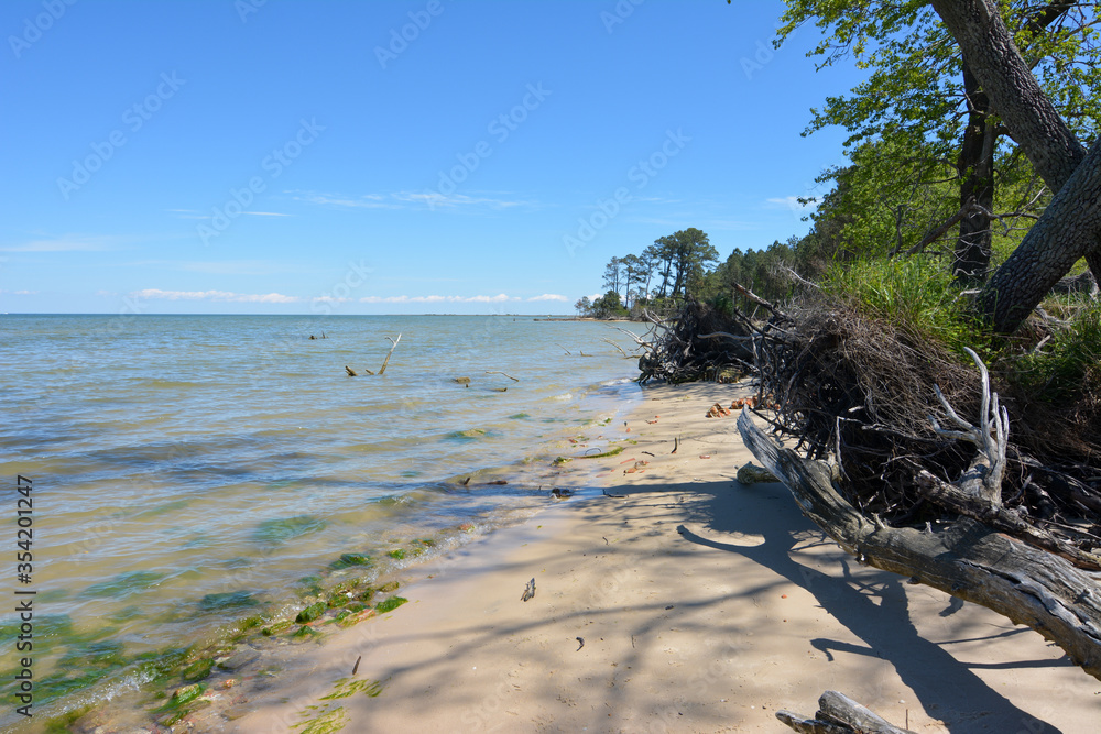 Protected beach coastline along the Chesapeake Bay at Dameron Marsh ...