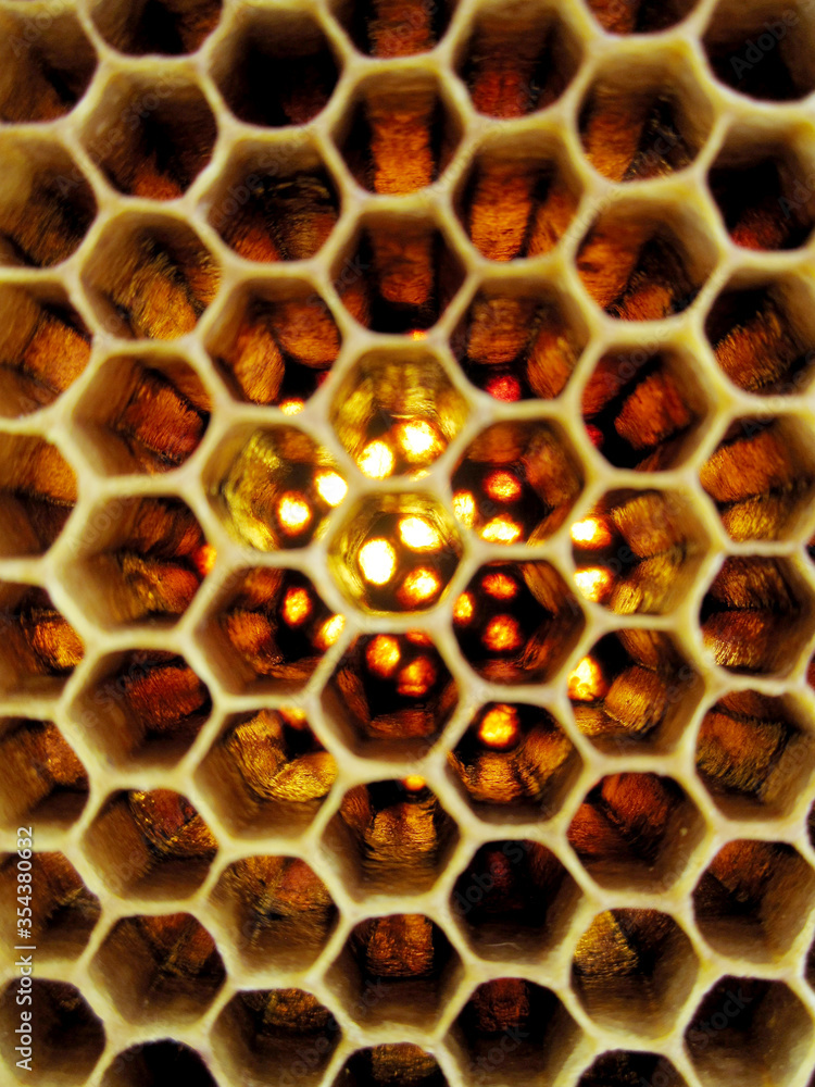 Abstract hexagon structure is honeycomb from bee hive Stock Photo ...