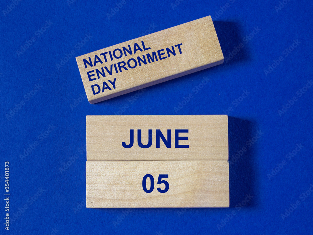 World national environment day concept. June 5 fifth. Wooden blocks on ...