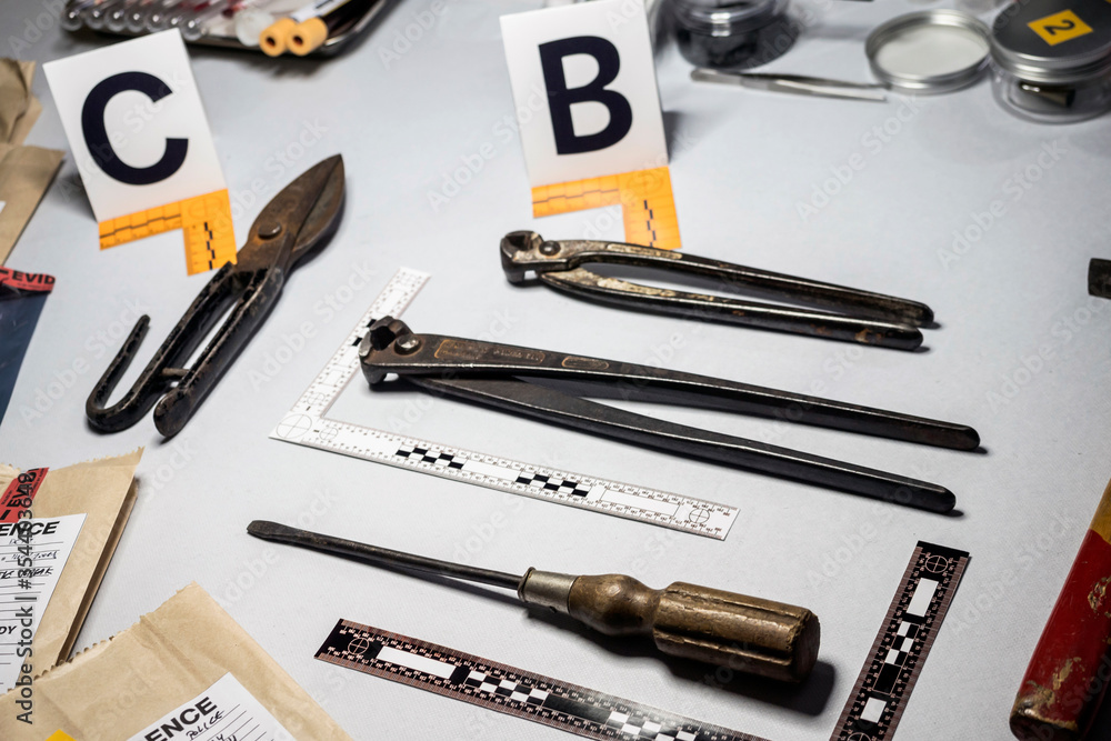 Crime lab, crime scene related tools for fingerprint analysis ...