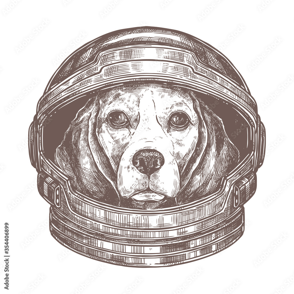 Astronaut Dog Drawing
