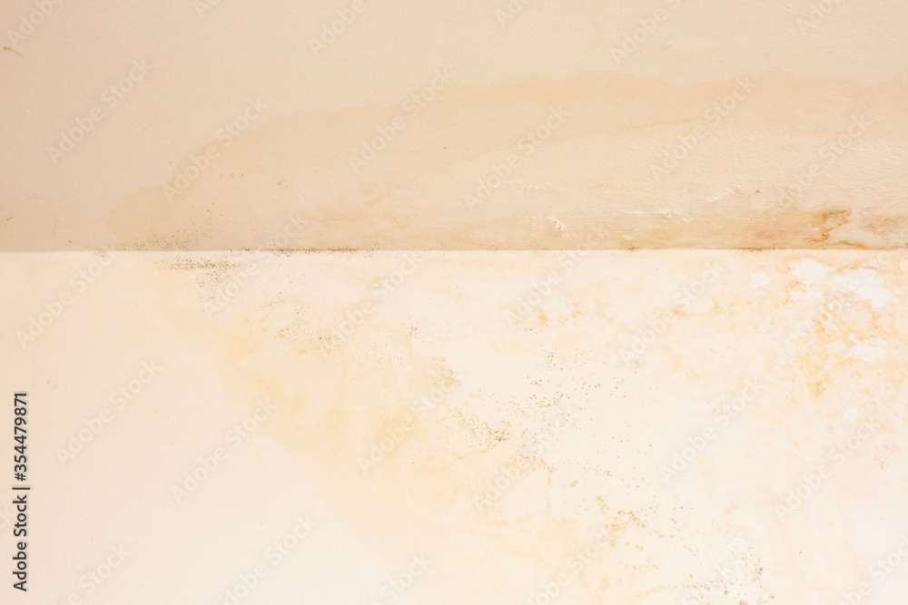 Dirt watery ceiling leaking view indicating dangerous of flood and mold ...