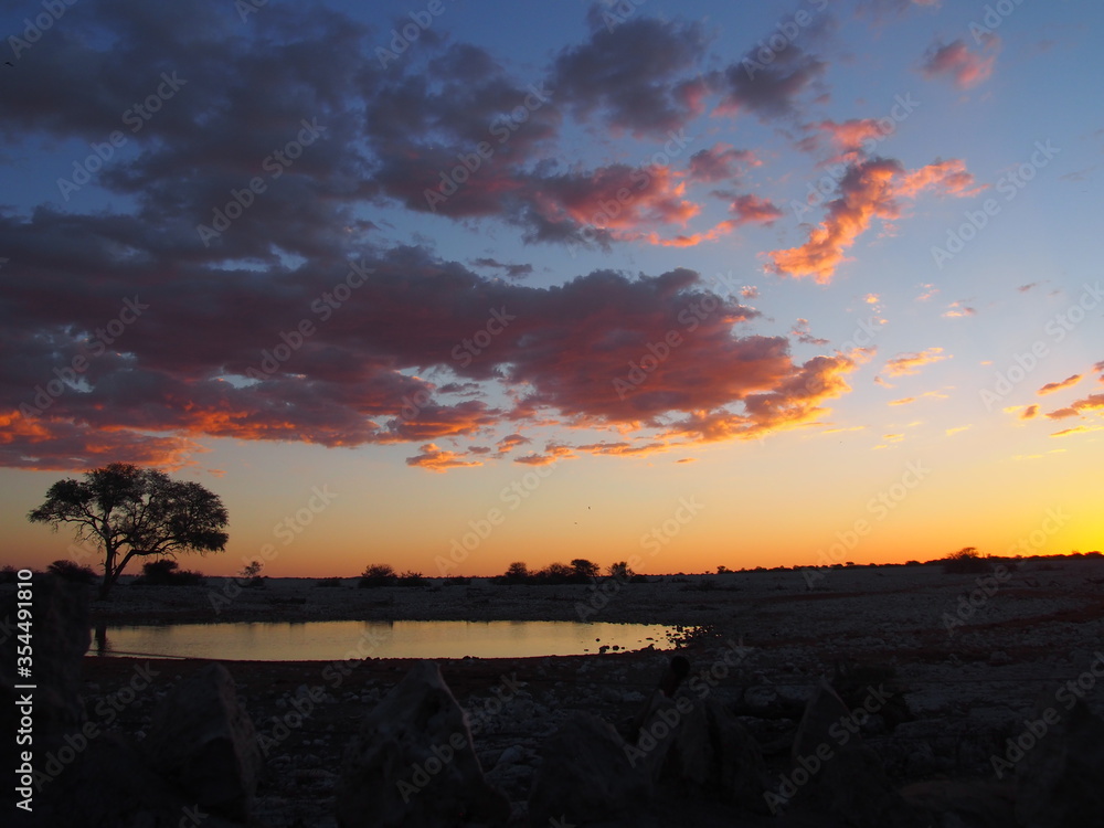 Beautiful sunsets and the animals that flock to the water's edge ...