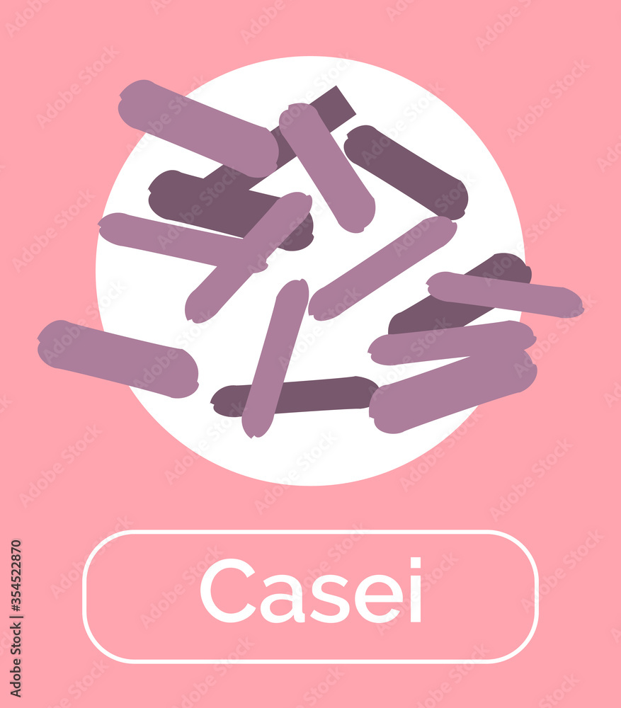 Casei bacteria for healthy digestion and good microflora. Bacterium ...