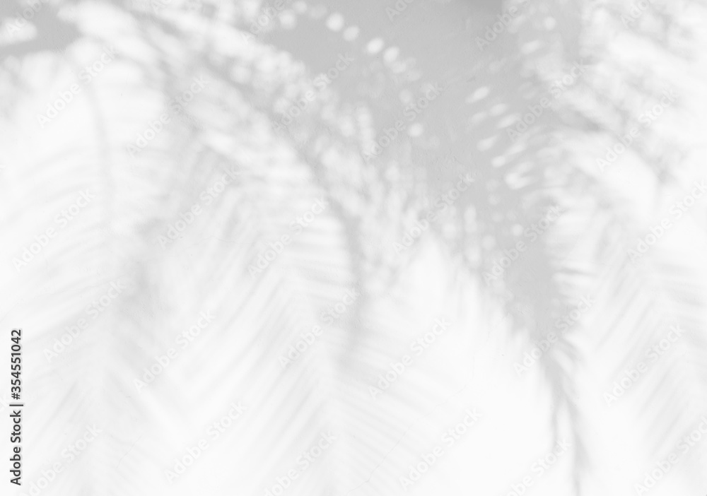 Shadow background of natural palm tree and leaves Stock Photo | Adobe Stock