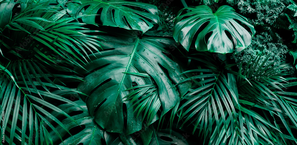 Tropical green leaves background Stock Photo | Adobe Stock