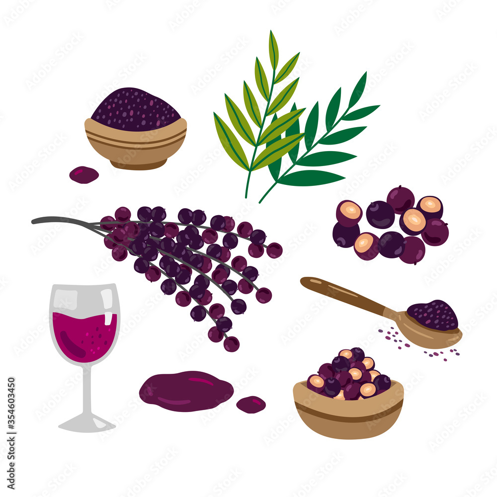 Vector hand drawn set of acai. Acai berries and branches, acai juice ...