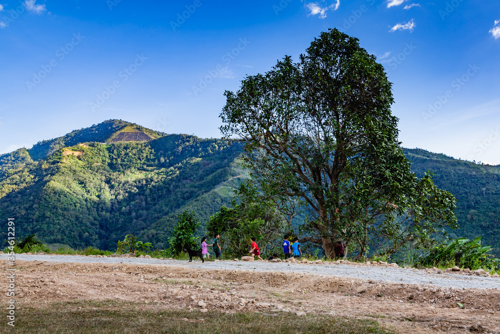 Kids playing under the big tree in Kampung Kiau, Sabah Malaysia Stock ...