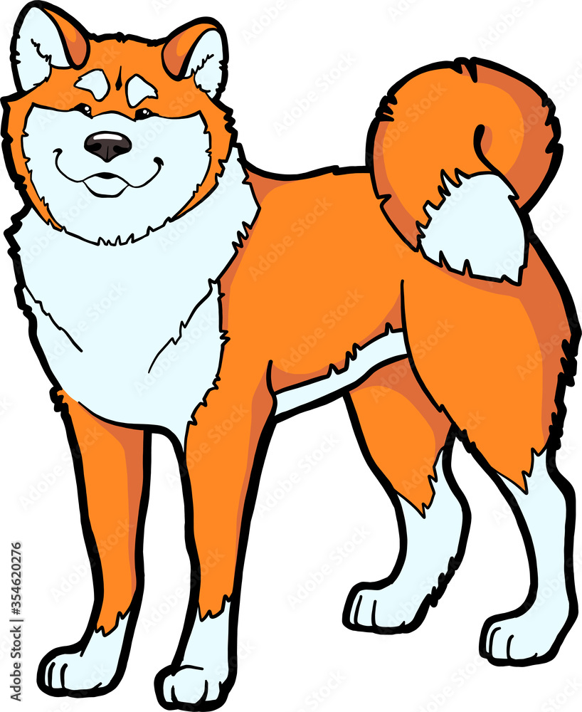 Cartoon character dog Akita Inu. Vector dog on isolated white ...