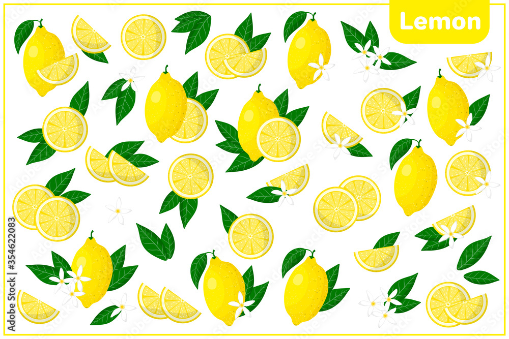 Set of vector cartoon illustrations with Lemon exotic fruits, flowers ...