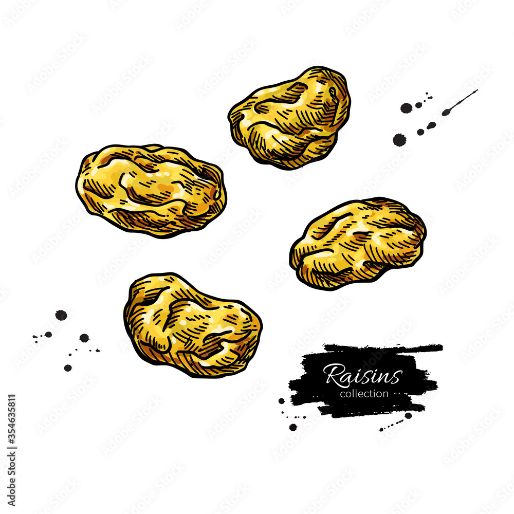 Raisins vector drawing. Dried grape objects. Hand drawn dehydrated fruit illustration Stock ...