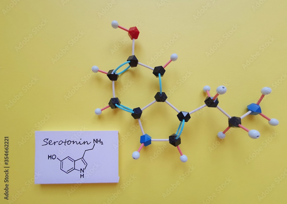 Molecular structure model and structural chemical formula of serotonin ...