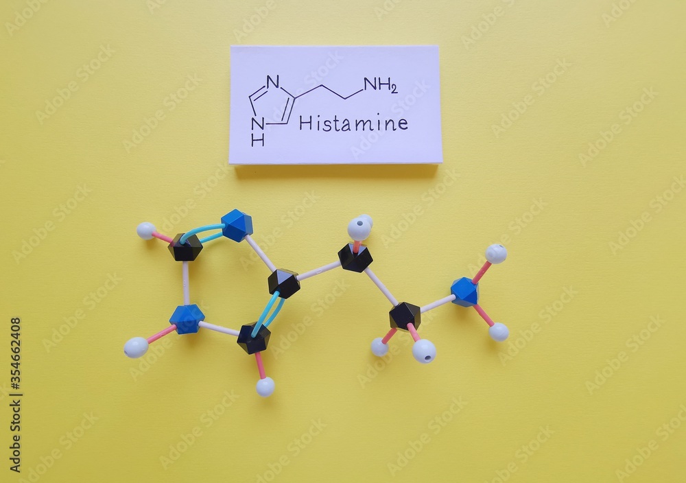 Molecular structure model and structural chemical formula of histamine ...