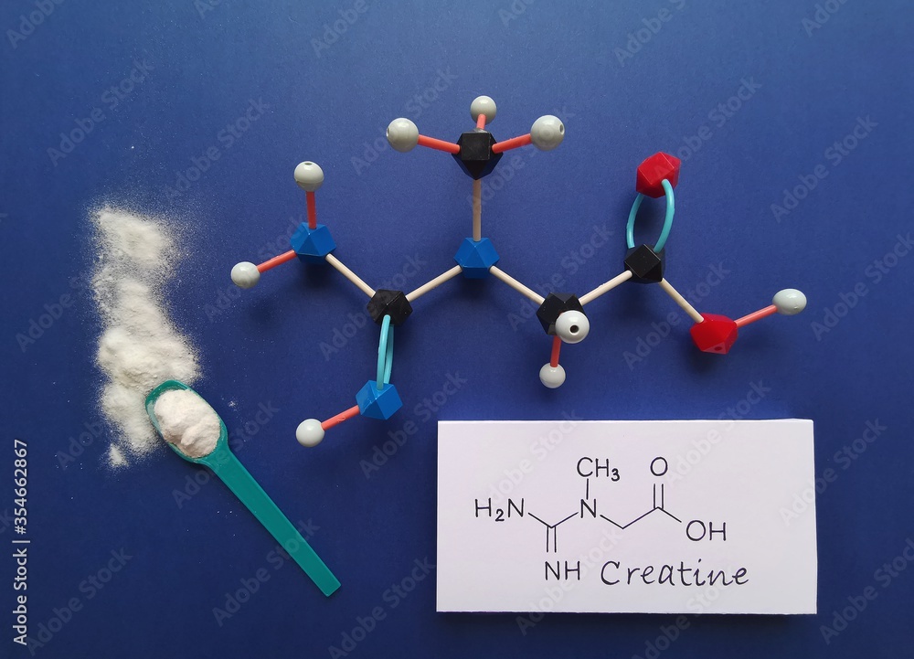Molecular structure model and structural chemical formula of creatine ...