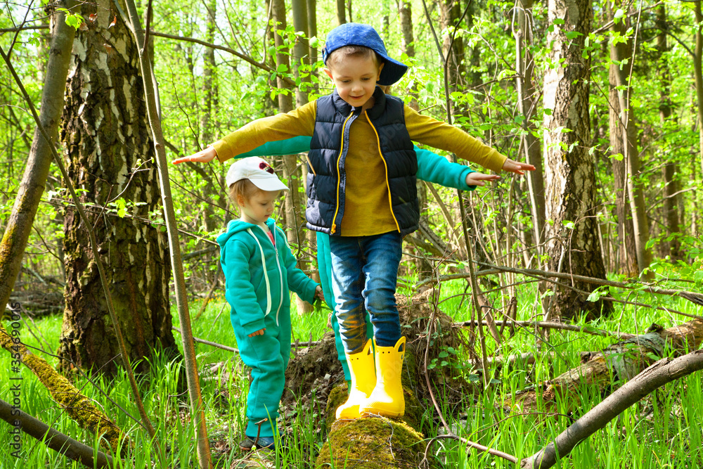 Children in the spring forest walk on a log. Hiking, camping, family ...