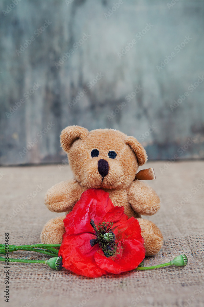 Teddy bear with red poppy flower. Remembrance day, Veterans day, Anzac ...