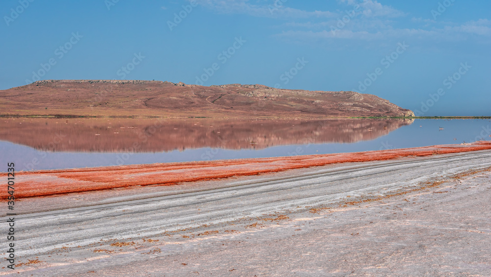 Brine and salt of a pink lake Koyash colored by microalgae Dunaliella ...