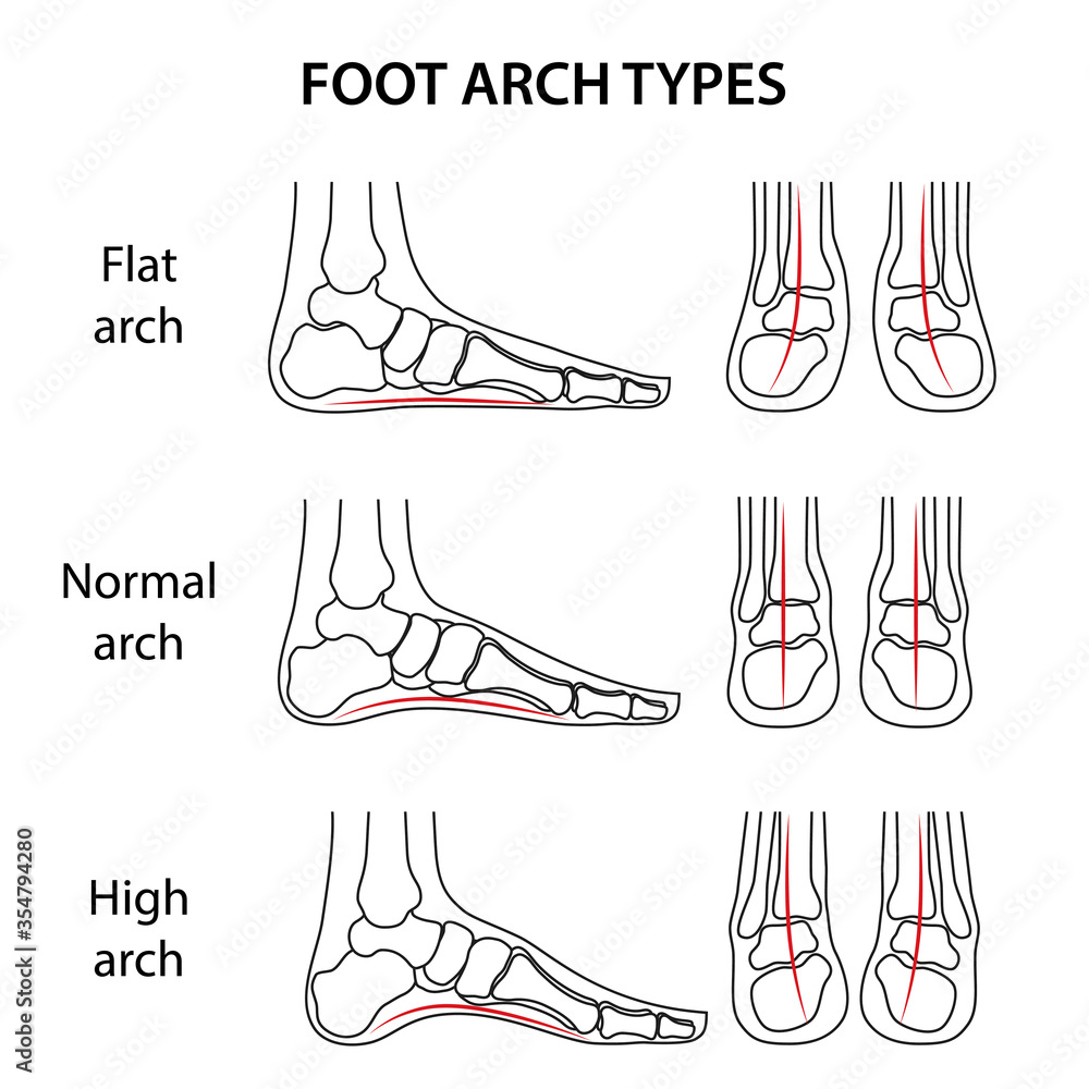 Difference Between A Foot And Feet at Ryder Sturdee blog