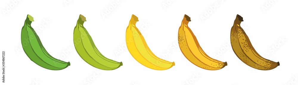 Set of five bananas of varying degrees of maturity hand-drawn isolated ...