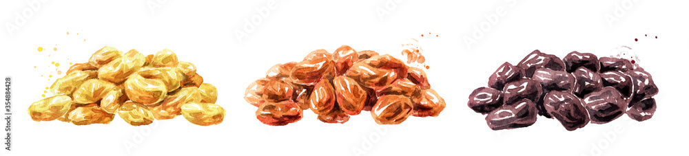 Various raisins set. Hand drawn watercolor illustration isolated on ...