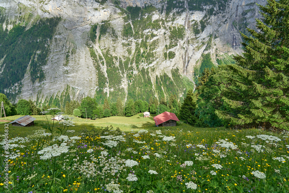 Landscape panorama of green nature of Swiss Alps. Taken between ...