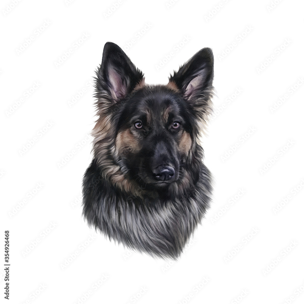 How To Draw A German Shepherd Puppy Head