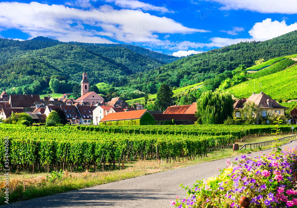 Beautiful countryside of Alsace region- famous "vine route" in France ...
