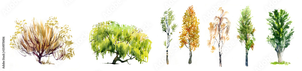 Set of realistic trees illustration isolated on white.Set of realistic ...