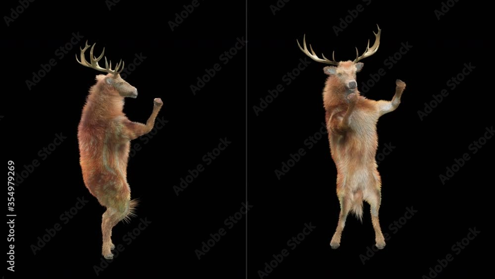 Deer Dance CG fur 3d rendering animal realistic CGI VFX Animation Loop ...