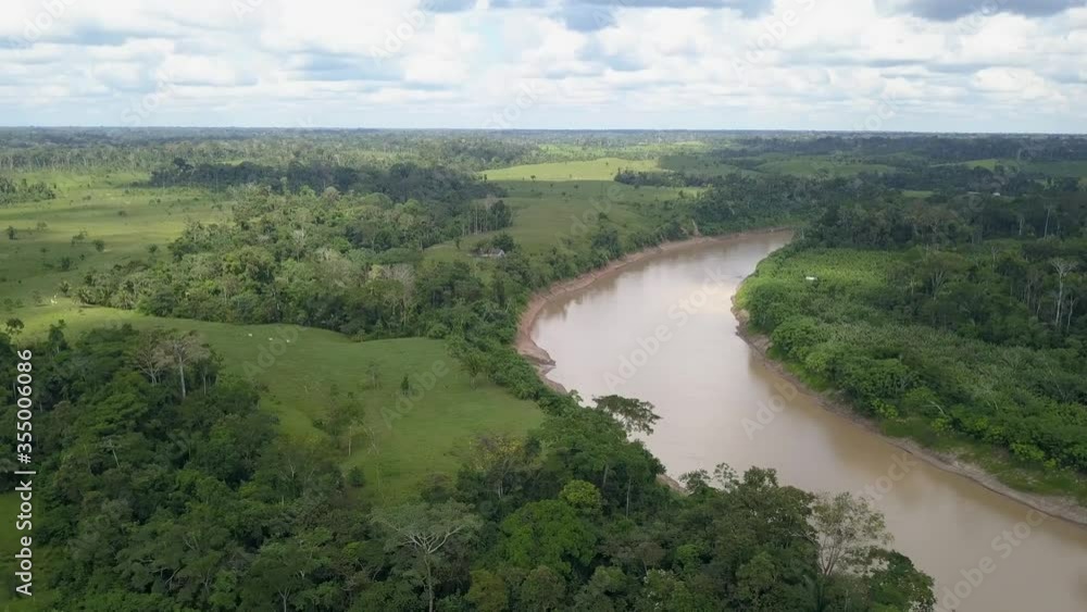 Drone aerial view of forest trees of Amazon rainforest deforestation ...