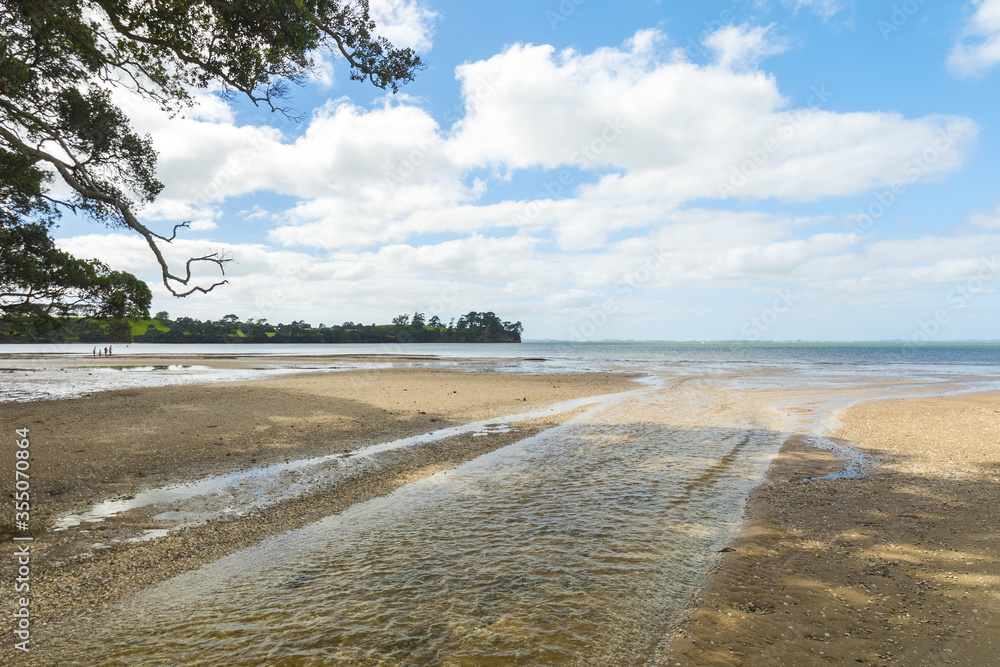 Landscape Scenery of Awhitu Regional Park Beach during Low Tide ...
