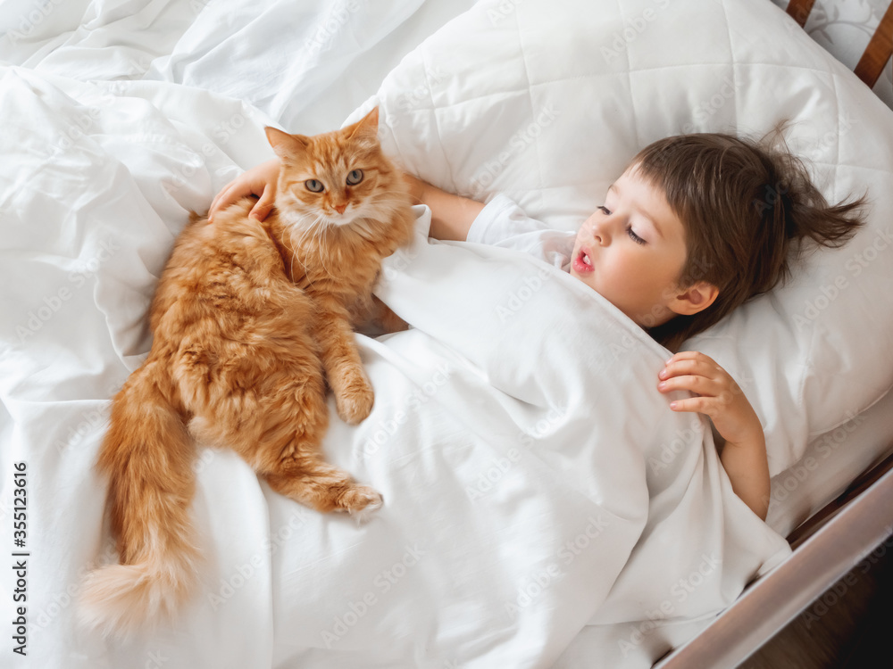 Toddler lies in bed with cute ginger cat. Little boy under white ...