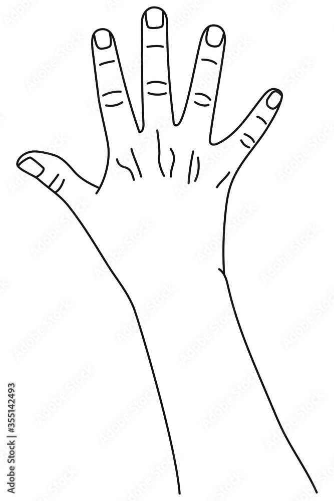 Number five, hand gesture. Concept of finger counting in sign language ...