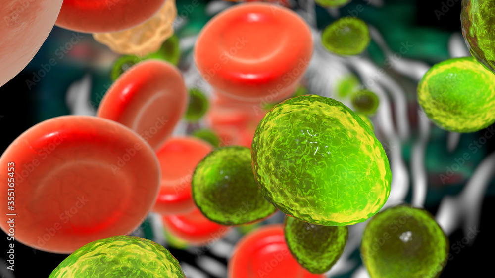 Fungemia, systemic fungal infection, Candida fungi in blood Stock ...