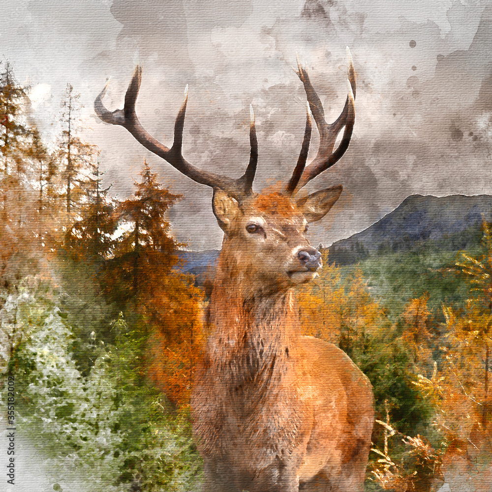 Fall Scenery With Deer