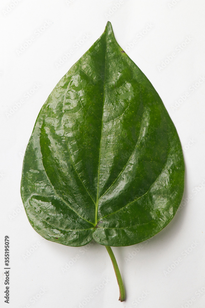 Paan leaf With White Background, betel leaf Stock Photo | Adobe Stock