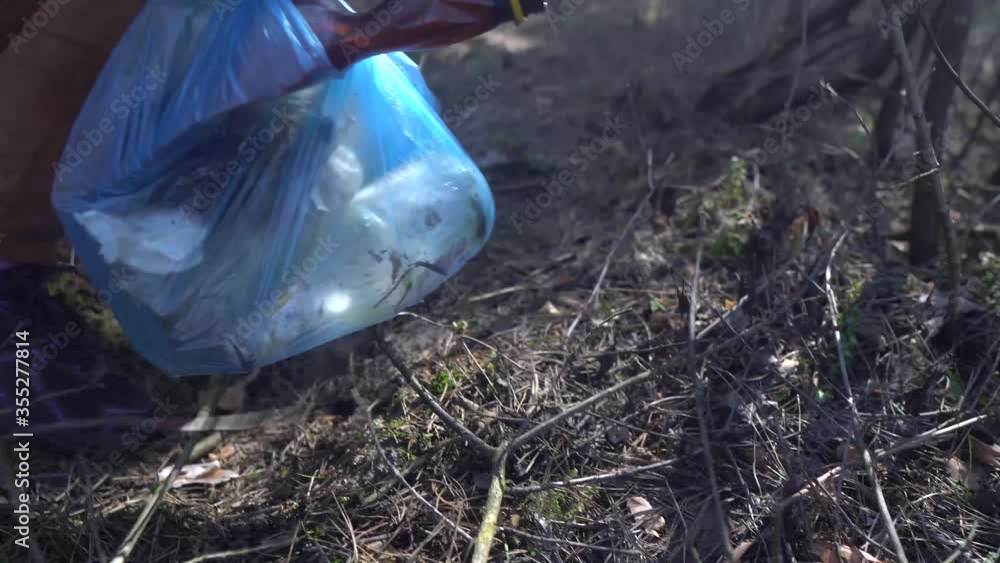 A girl collects garbage in the forest. Environmental pollution. A ...