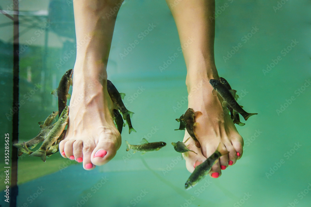 foot care procedure in a fish tank. foot scrub by fishes in green ...