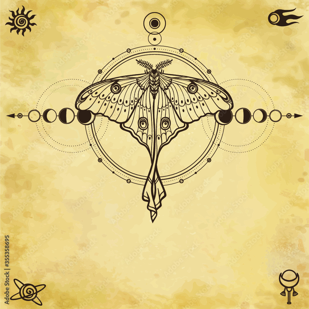 Mystical drawing: tropical butterfly, sacred geometry, moon phases ...