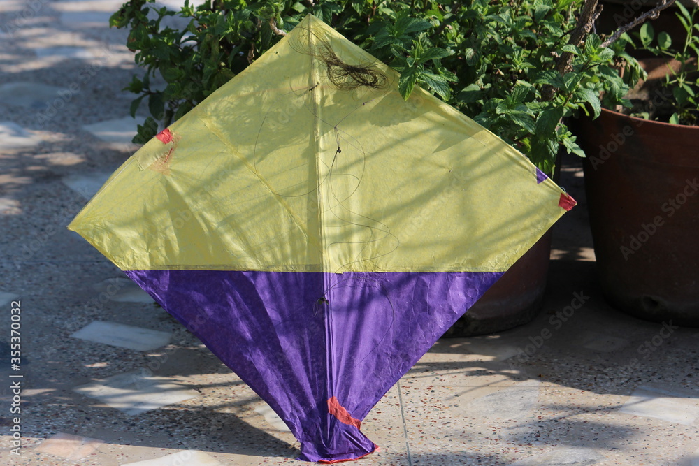 Colorful landed kite with partial view under bright daylight. Stock ...