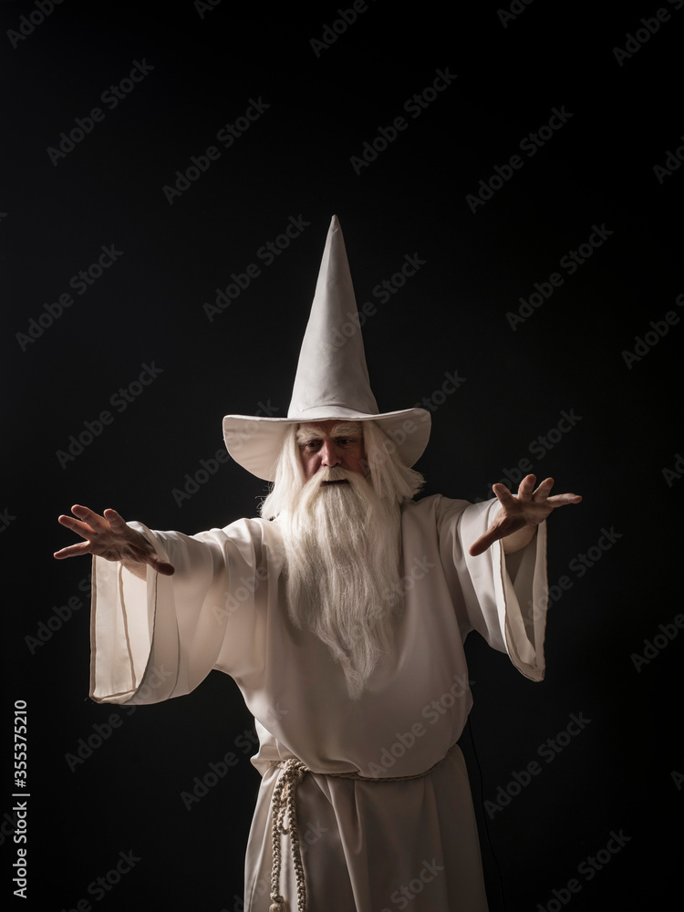 Portrait of a manly and brutal, majestic, old man, sorcerer, wizard ...