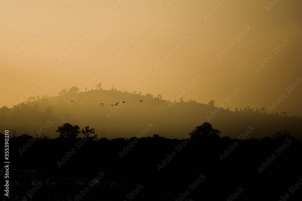 Evergreen rainforest mountains captured during an early foggy morning ...