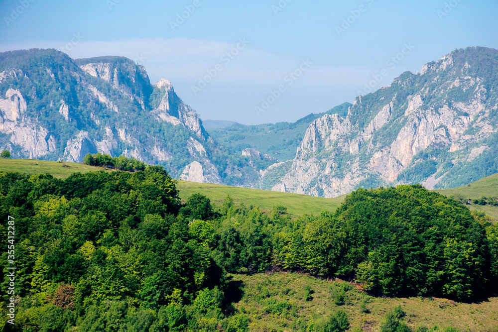rocks and cliff of romania gorges. beautiful mountain landscape view ...