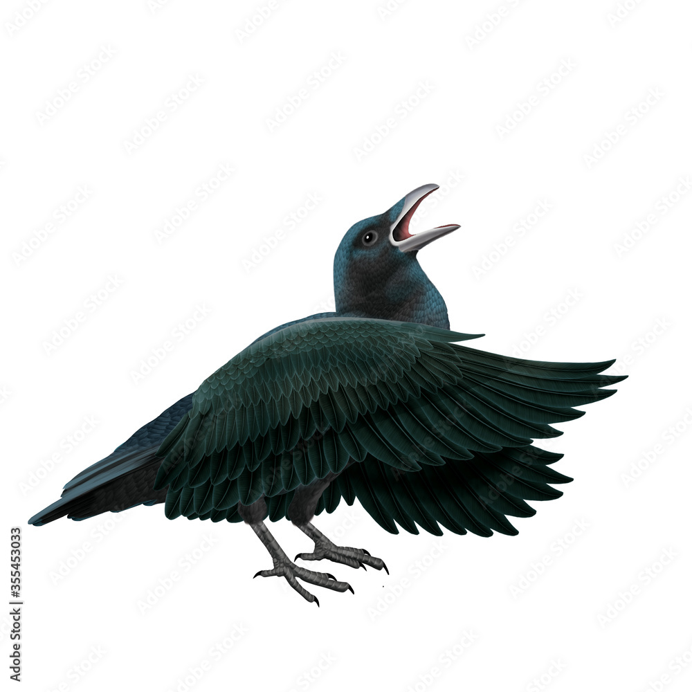 oiseau, , corbeau, volant, aile ouverte, bec ouverte, nature, isolé ...